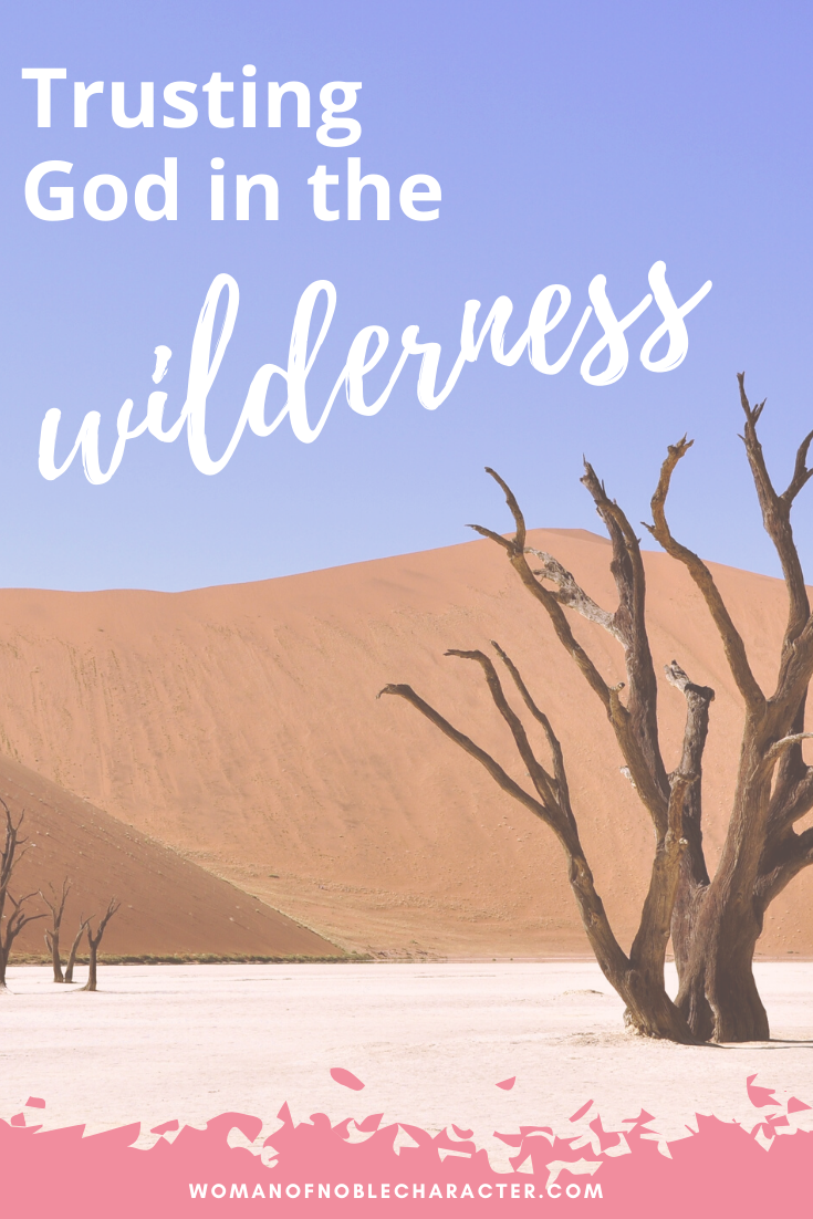 Trusting God in your wilderness season :: Healing.herarts.for.teens